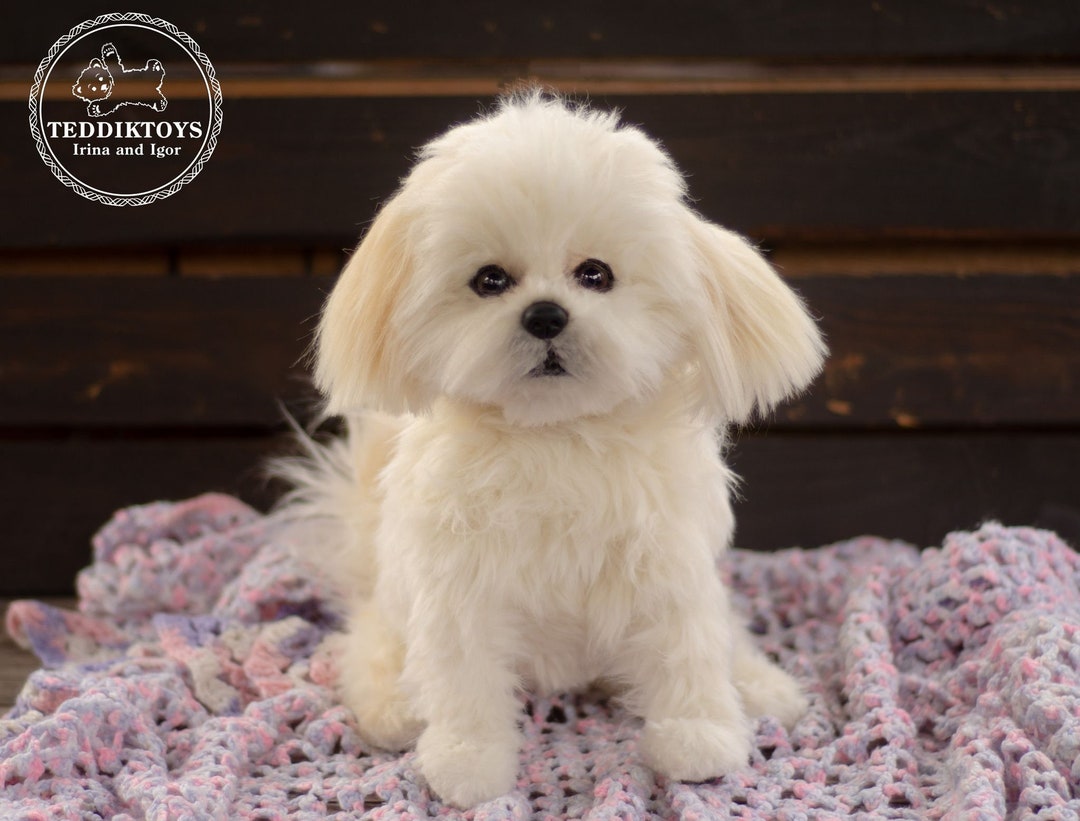 Realistic Shih Tzu Teddy Dog Plush Toy - Handmade Portrait Artisan ...