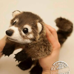 Coati ,(is Possible Repeat to Order) Teddy, Author's Work, Toy - Etsy