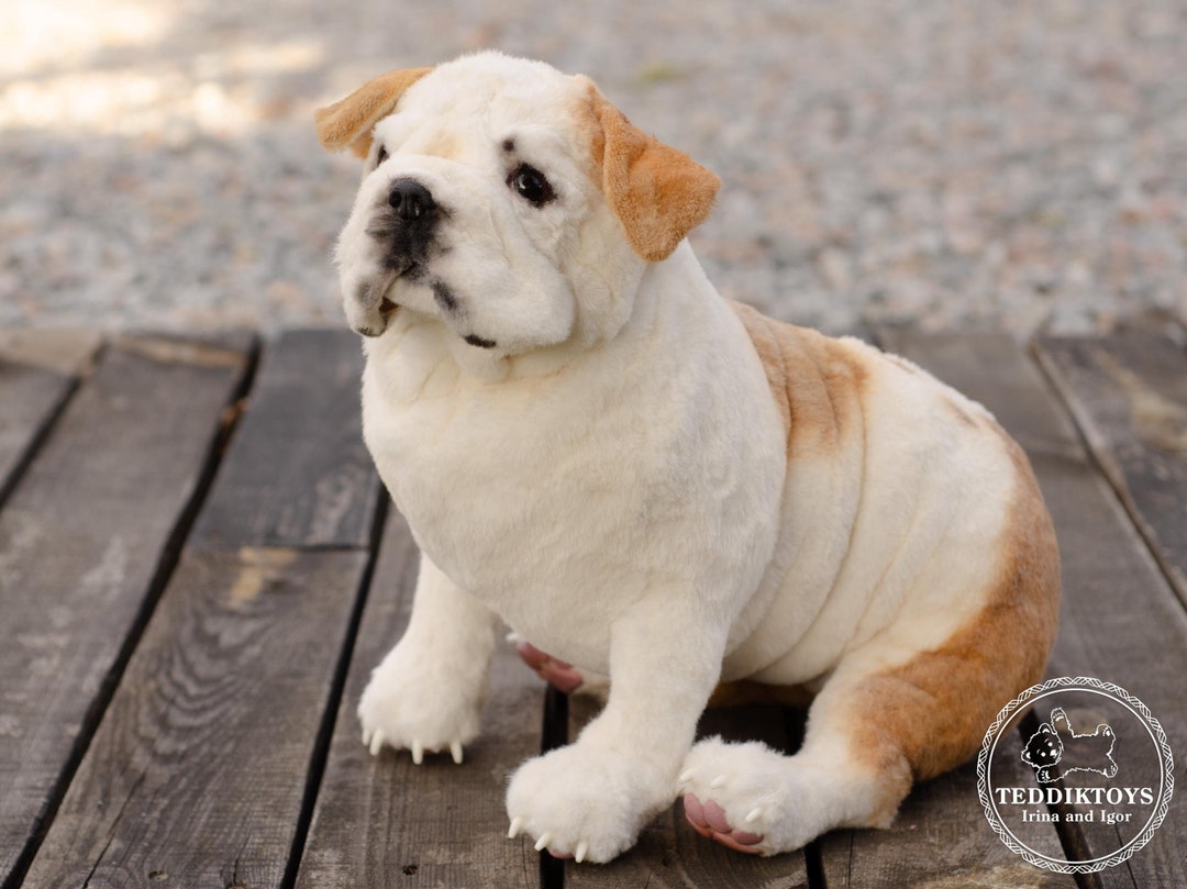 Custom Handmade Bulldog Puppy Plush – Poseable Stuffed Animal From Faux ...