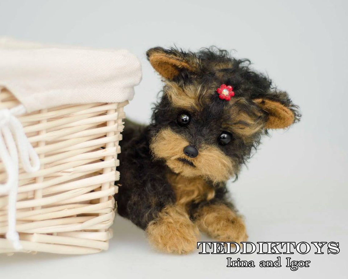 Puppy York Lina , (make to Order) Portrait Pet , Handmade Animal by ...