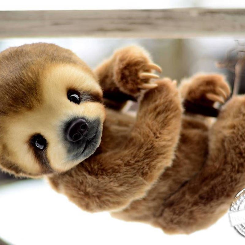 Sloth Doll - Etsy