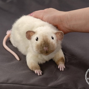 Realistic Handmade Plush Rats - Custom Stuffed Animals With Silicone ...