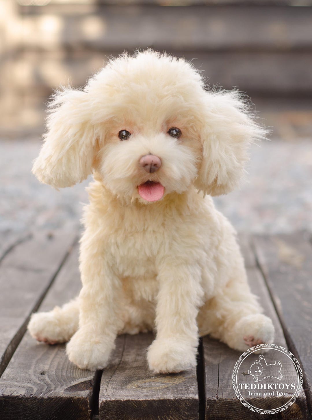 Handmade Realistic Poodle Puppy Plush: Custom Dog Portrait - Etsy