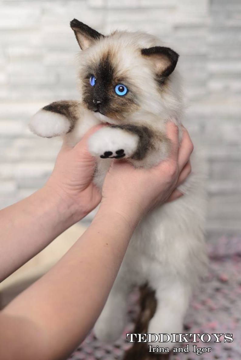 Custom. Realistic Toy Cat. Collectible Animal. - Etsy