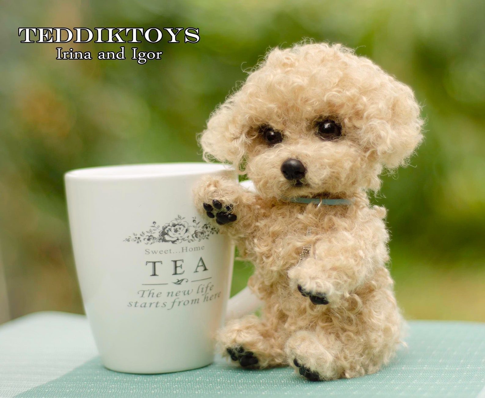 Puppy Handmade Tea Cup Poodle Micro Poodle Toy Puppy Mini - Etsy