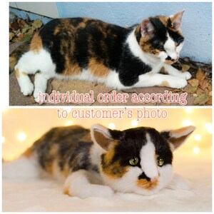 Individual Order According to Customers Photo , Cat , Handmade, Kitten ...