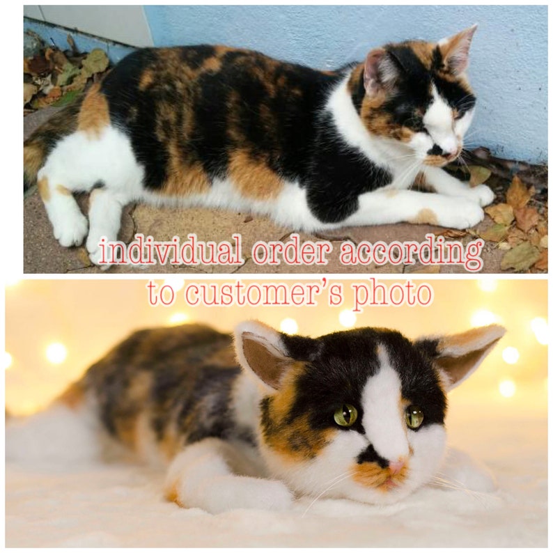 Individual Order According to Customers Photo Cat - Etsy