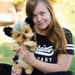 Puppy York Jemmy make to Order Portrait Pet , Handmade Animal by Photo ...
