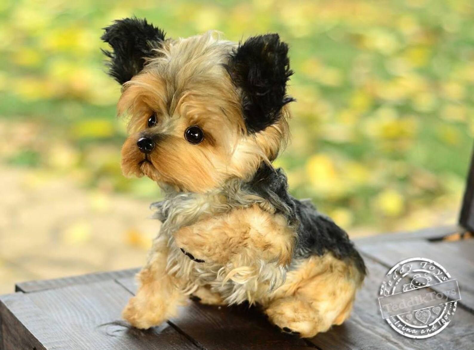 Puppy York Jemmy (make to Order) Portrait Pet , Handmade Animal by ...