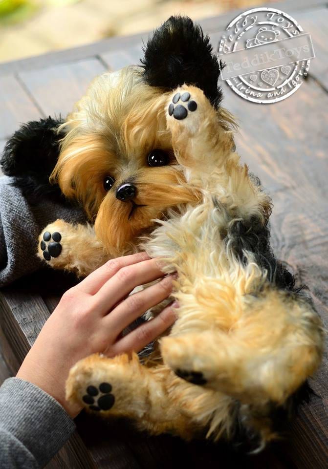 Puppy York Jemmy (make to Order) Portrait Pet , Handmade Animal by ...
