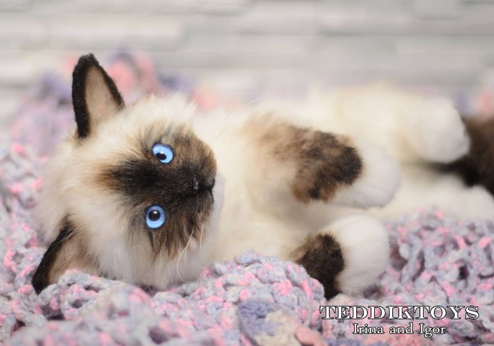 Custom. Realistic Toy Cat. Collectible Animal. - Etsy