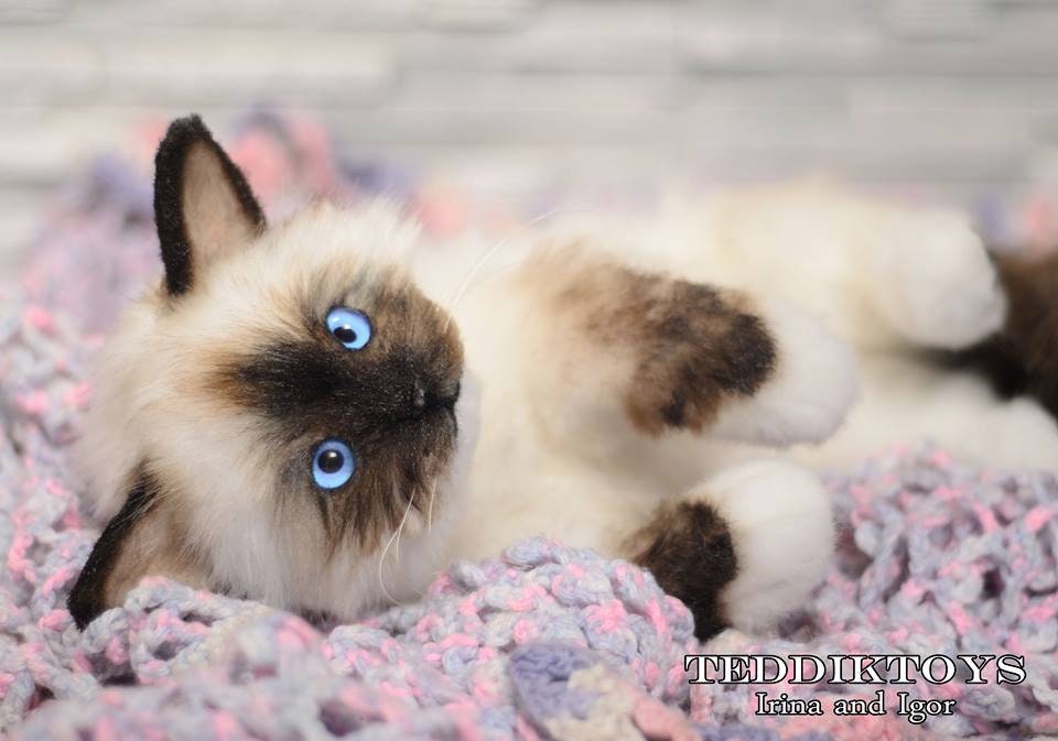 Custom. Realistic Toy Cat. Collectible Animal. | Etsy UK