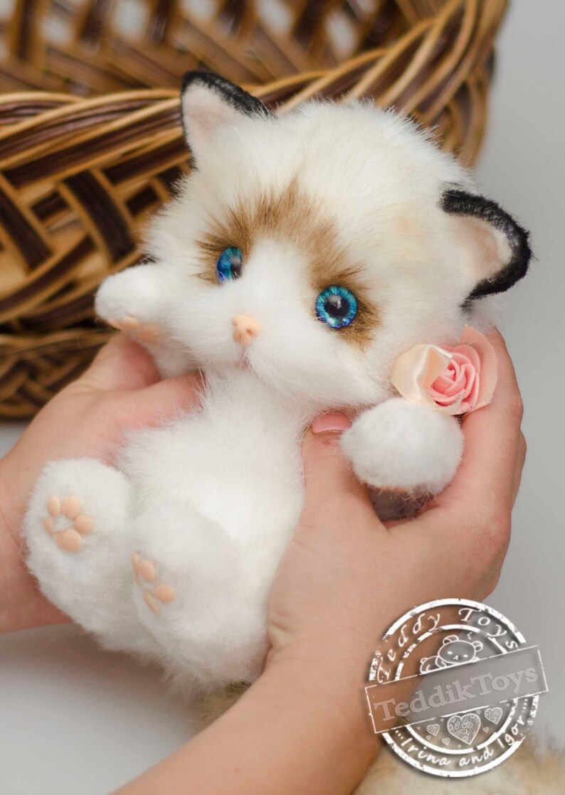 Kitty Millie made to Order Cat Cat Teddy Teddy Kitten - Etsy