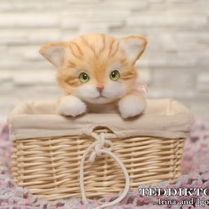 Kitten Mika made to Order Plushed Toy Stuffed Toy - Etsy