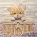 Kitten Mika made to Order Plushed Toy Stuffed Toy - Etsy