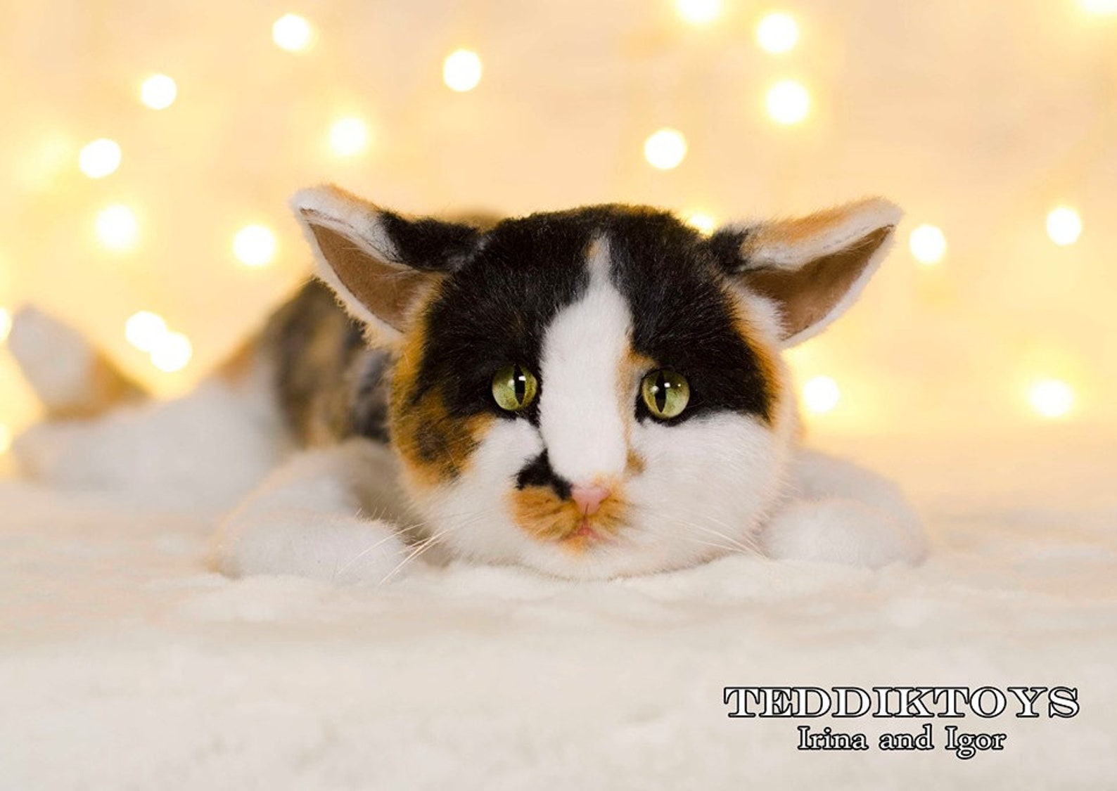 Individual Order According to Customers Photo Cat - Etsy