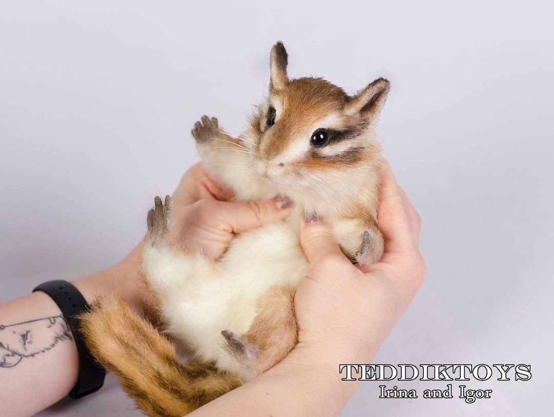 Chipmunk Handmade Toy , - Etsy