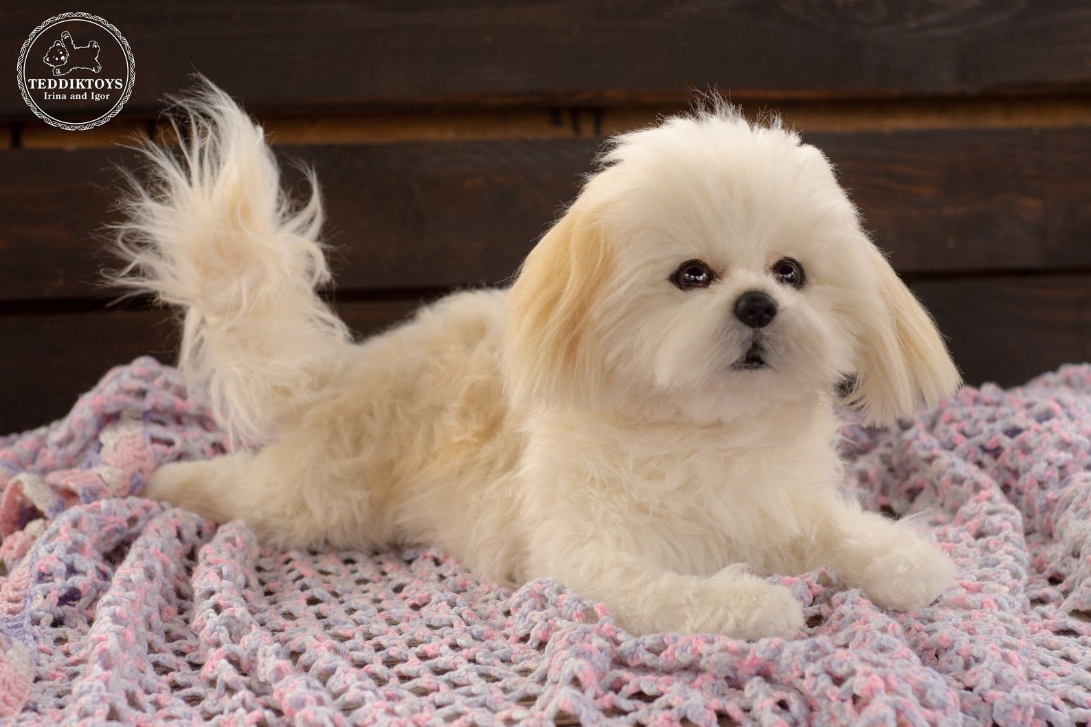 Realistic Shih Tzu Teddy Dog Plush Toy - Handmade Portrait Artisan ...