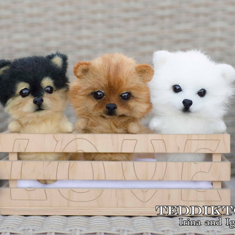 Pomeranian Plush - Etsy