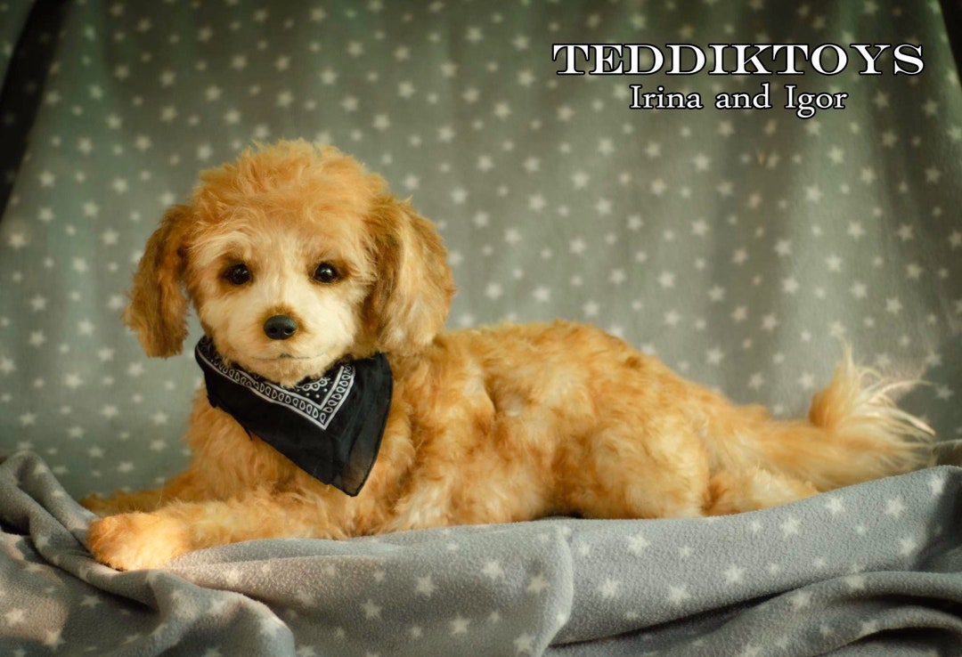 Handmade Poodle Puppy Replica: Custom Dog Teddy - Etsy