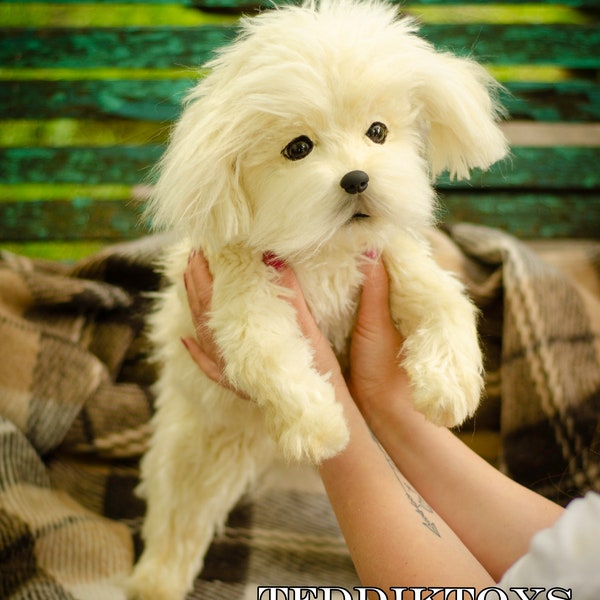Realistic Shih Tzu Plush - Etsy