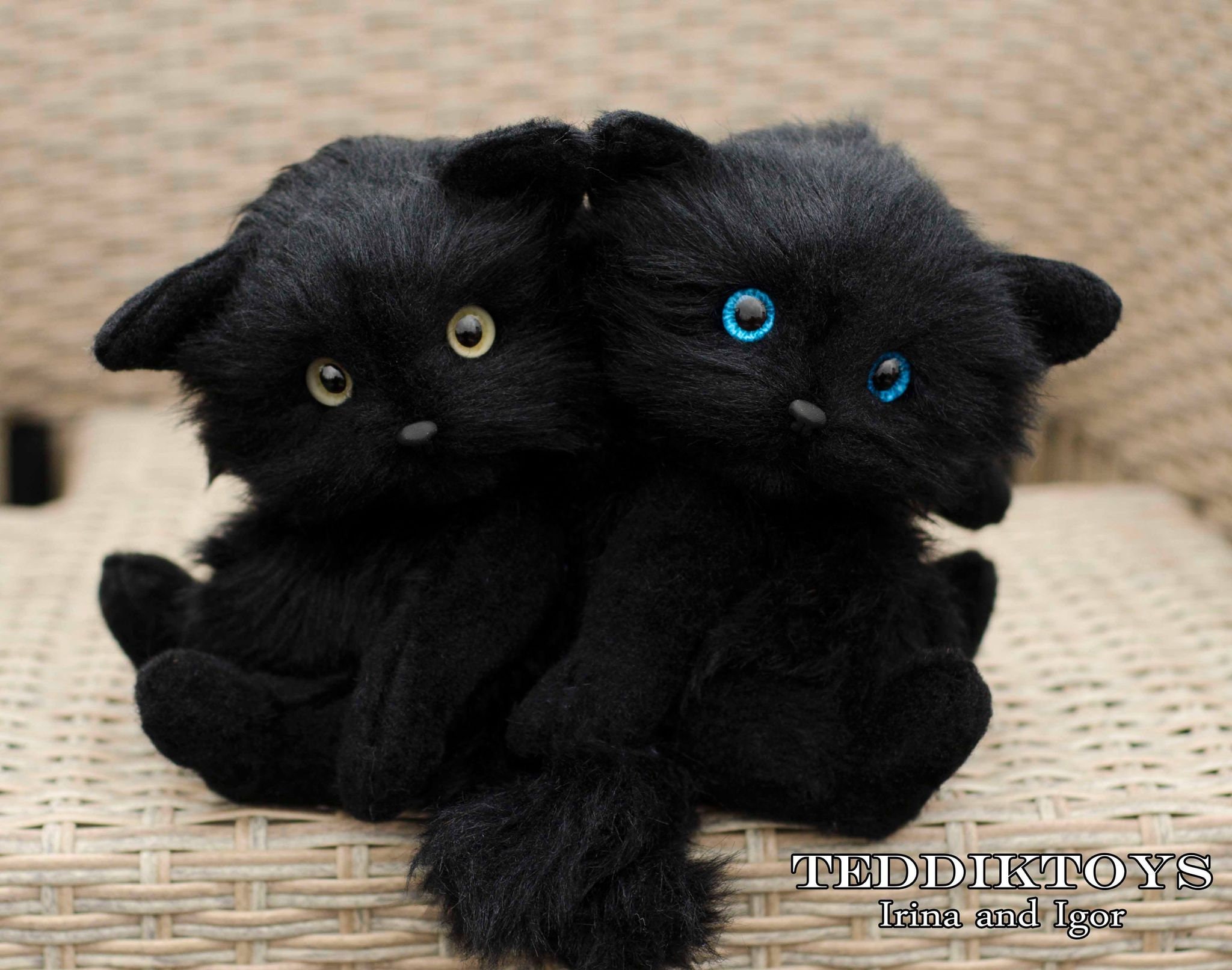 Kitten Black cat cat Teddy Teddy Kitten author's work | Etsy