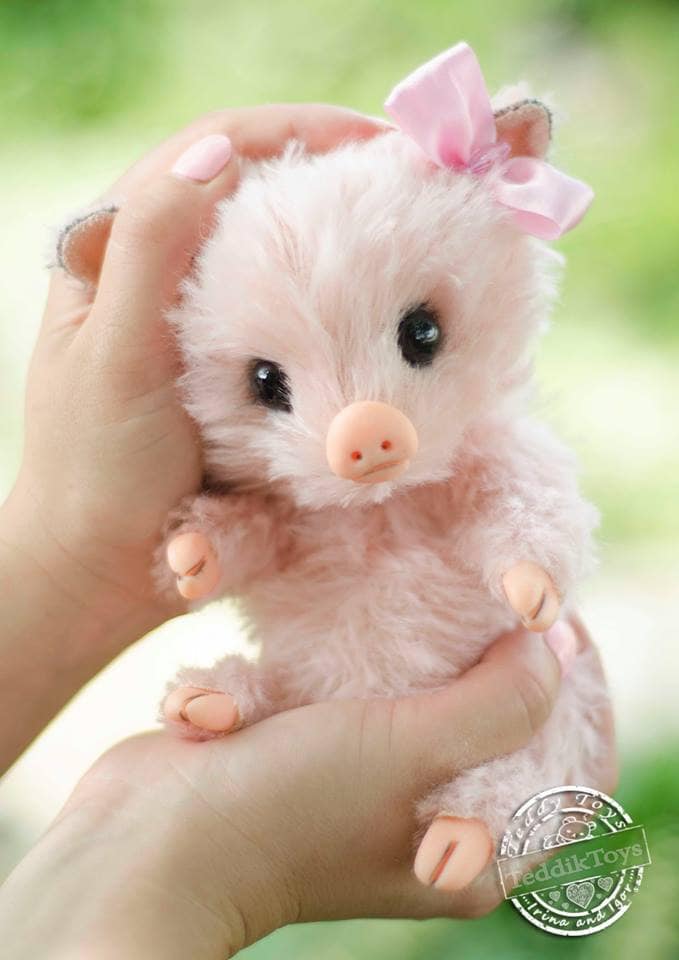 Pig Lolimade to Order Pig Teddy Toy Pig Stuffed Pig - Etsy