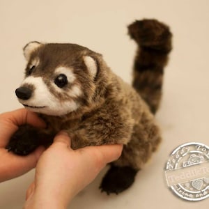 Coati ,(is Possible Repeat to Order) Teddy, Author's Work, Toy - Etsy
