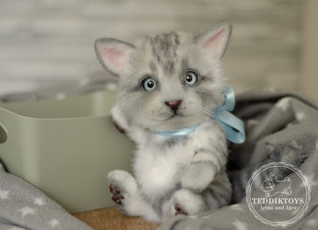 Kitten Chip cat Teddy Teddy Kitten Author's Work - Etsy