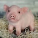 Handmade Pig Toy Pig Custom Order - Etsy