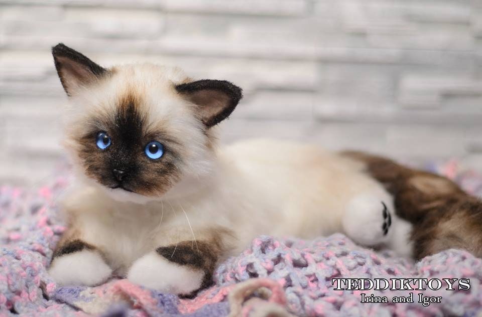 Custom. Realistic Toy Cat. Collectible Animal. | Etsy UK