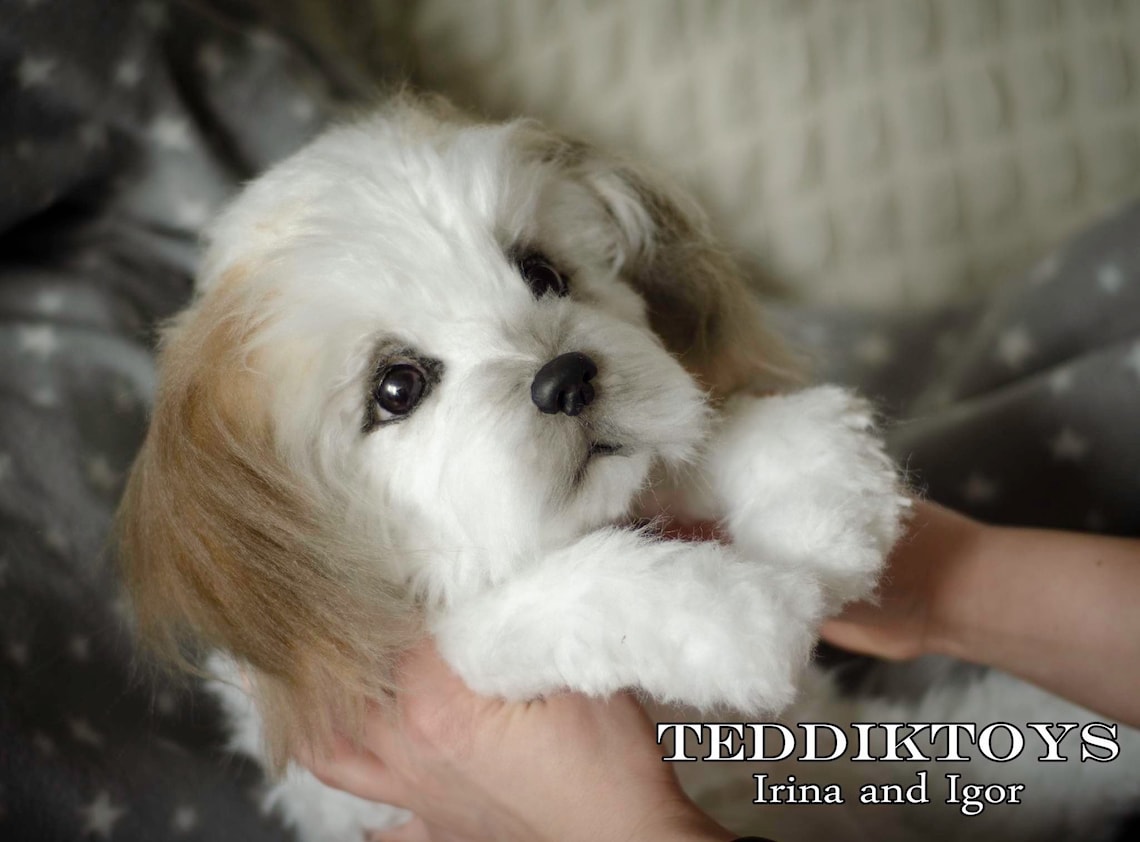 Realistic Puppy Shih Tzu Collectible Teddy Dog Handmade Plush - Etsy