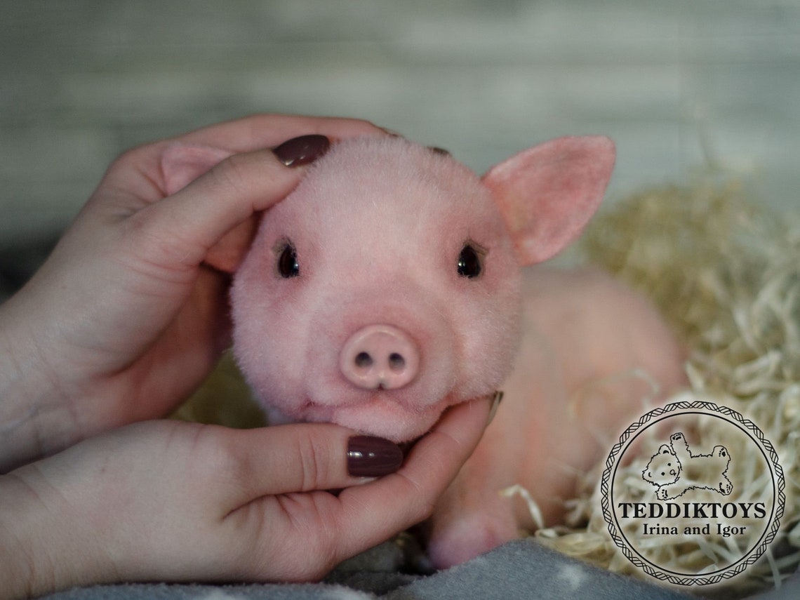 Handmade Pig Toy Pig Custom Order - Etsy