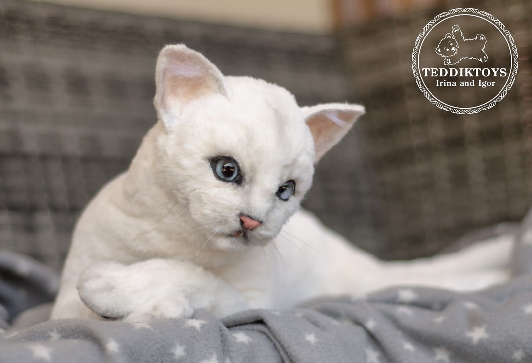 Realistic Life Size Kitten: Handmade Collectible Faux Plush Cat - Etsy