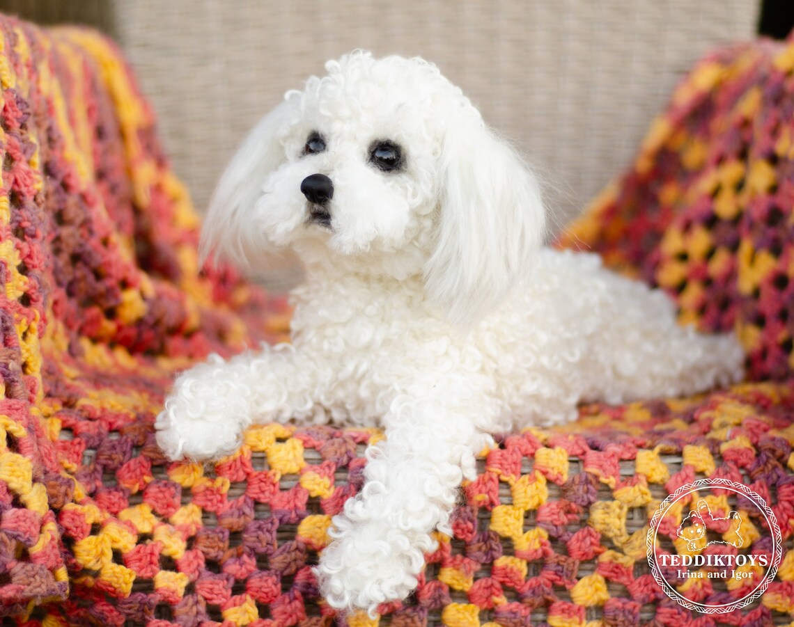 Handmade Realistic Poodle Puppy Plush: Custom Dog Portrait Soft ...