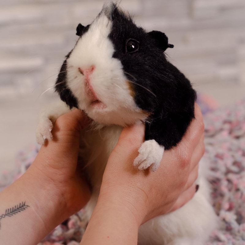 Stuffed Guinea Pig - Etsy