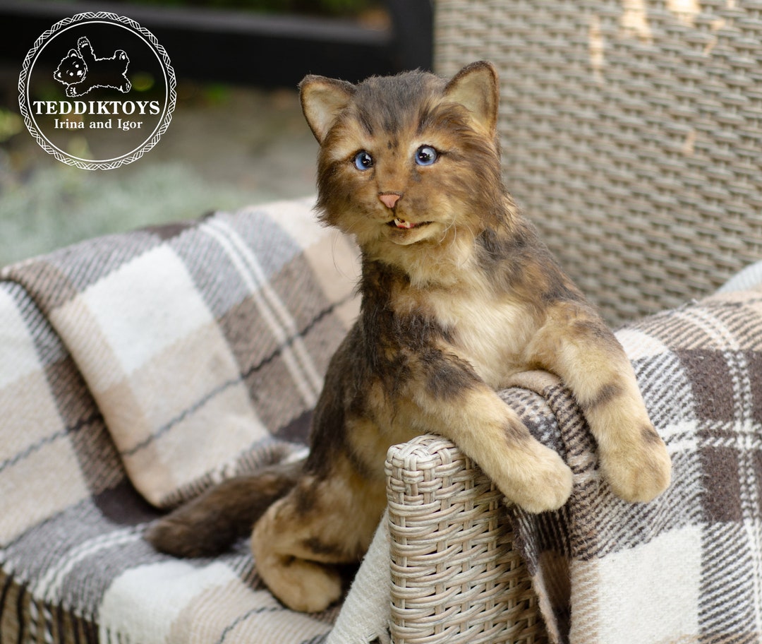 Realistic Life Size Kitten: OOAK Handmade Collectible Cat (made to ...