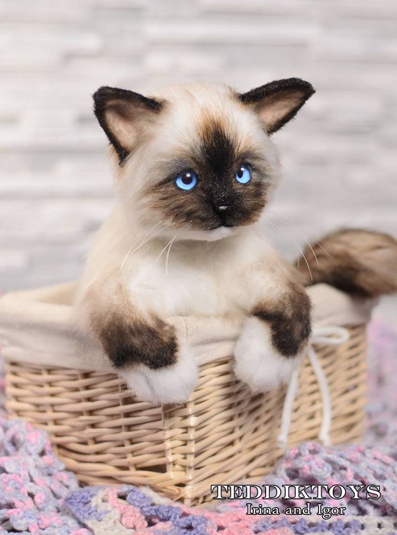 Custom. Realistic Toy Cat. Collectible Animal. - Etsy