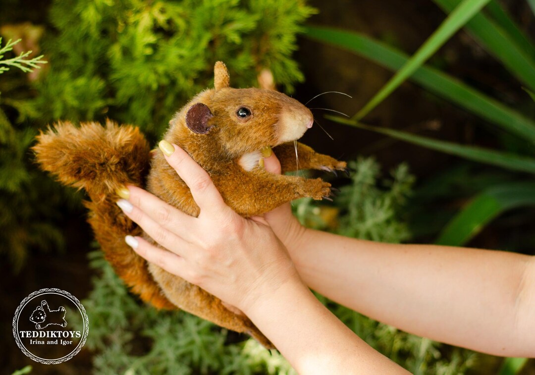 Realistic Handmade Plush Squirrel - Custom Stuffed Animal With Silicone ...