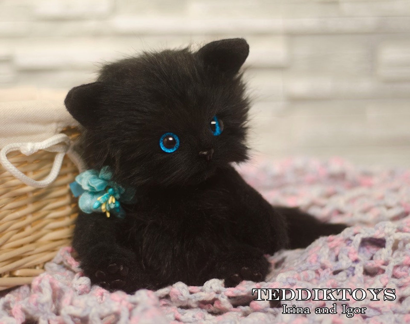 Kitten Black Cat Cat Teddy Teddy Kitten Author's Work - Etsy UK