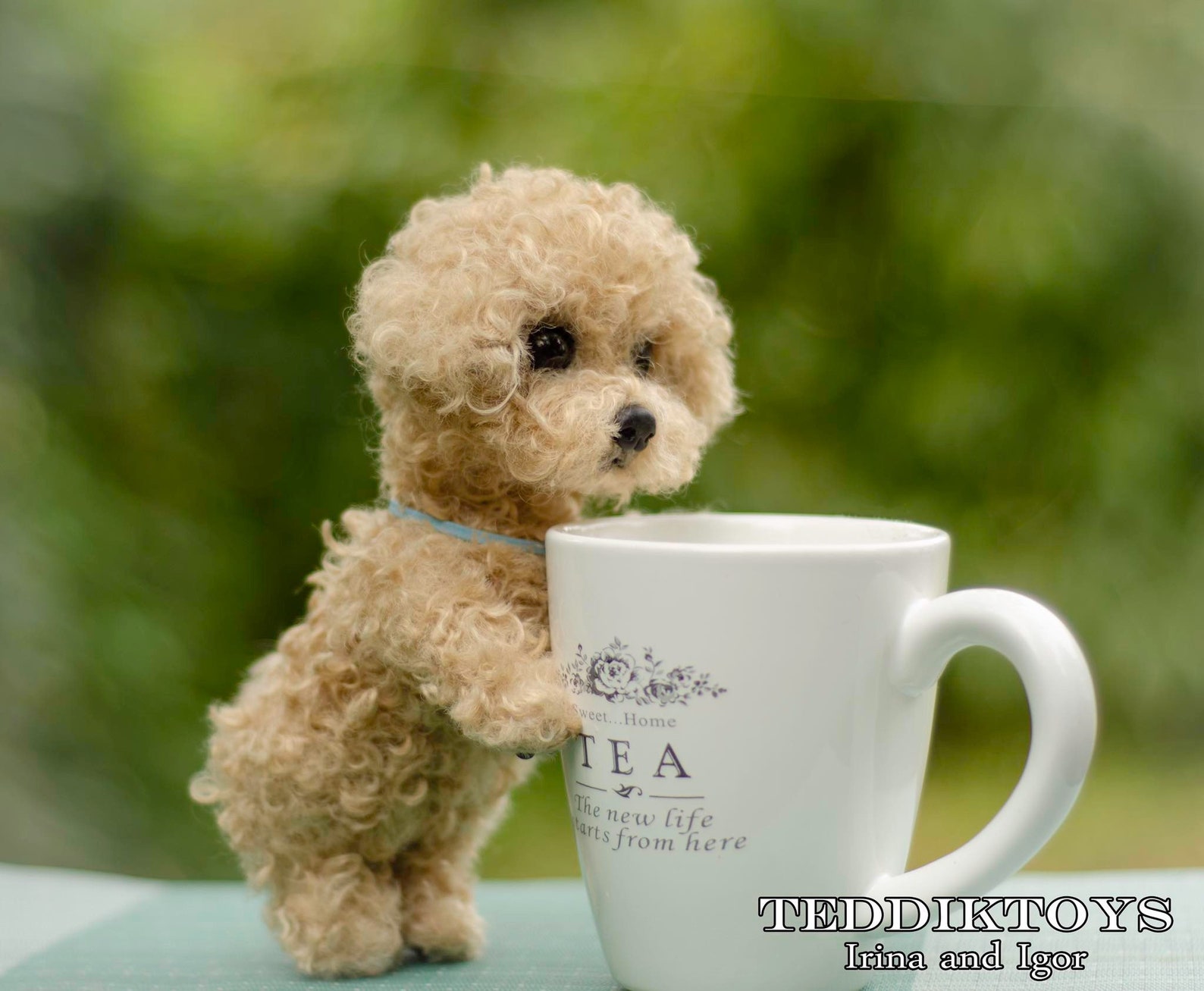 Puppy Handmade Tea Cup Poodle Micro Poodle Toy Puppy Mini - Etsy