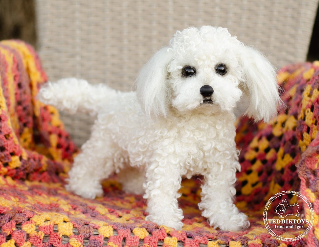 Handmade Realistic Poodle Puppy Plush: Custom Dog Portrait Soft ...