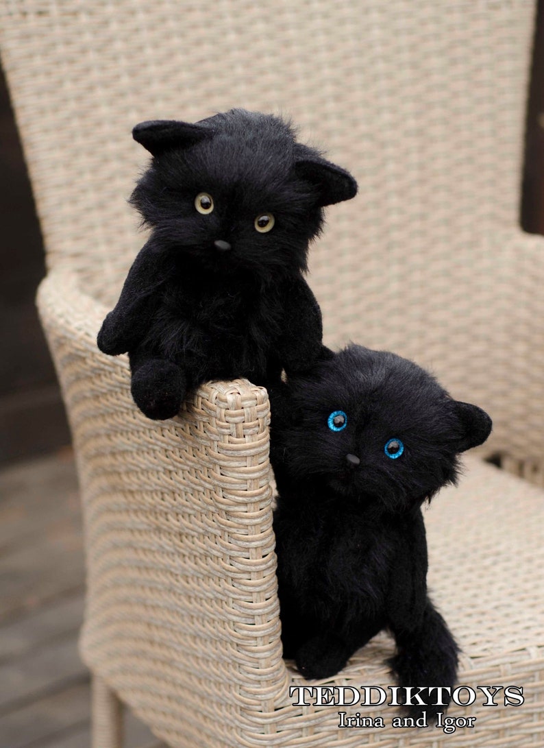 Kitten Black cat cat Teddy Teddy Kitten author's work | Etsy