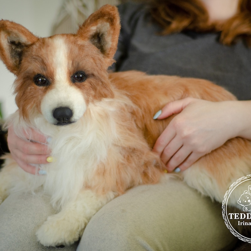 Corgi Plush - Etsy