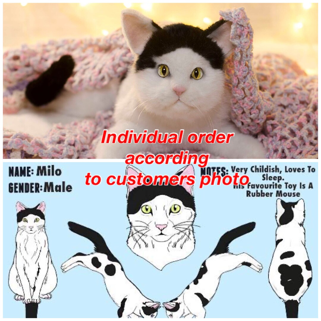 Individual Order According to Customers Photo , Cat , Handmade, Kitten ...