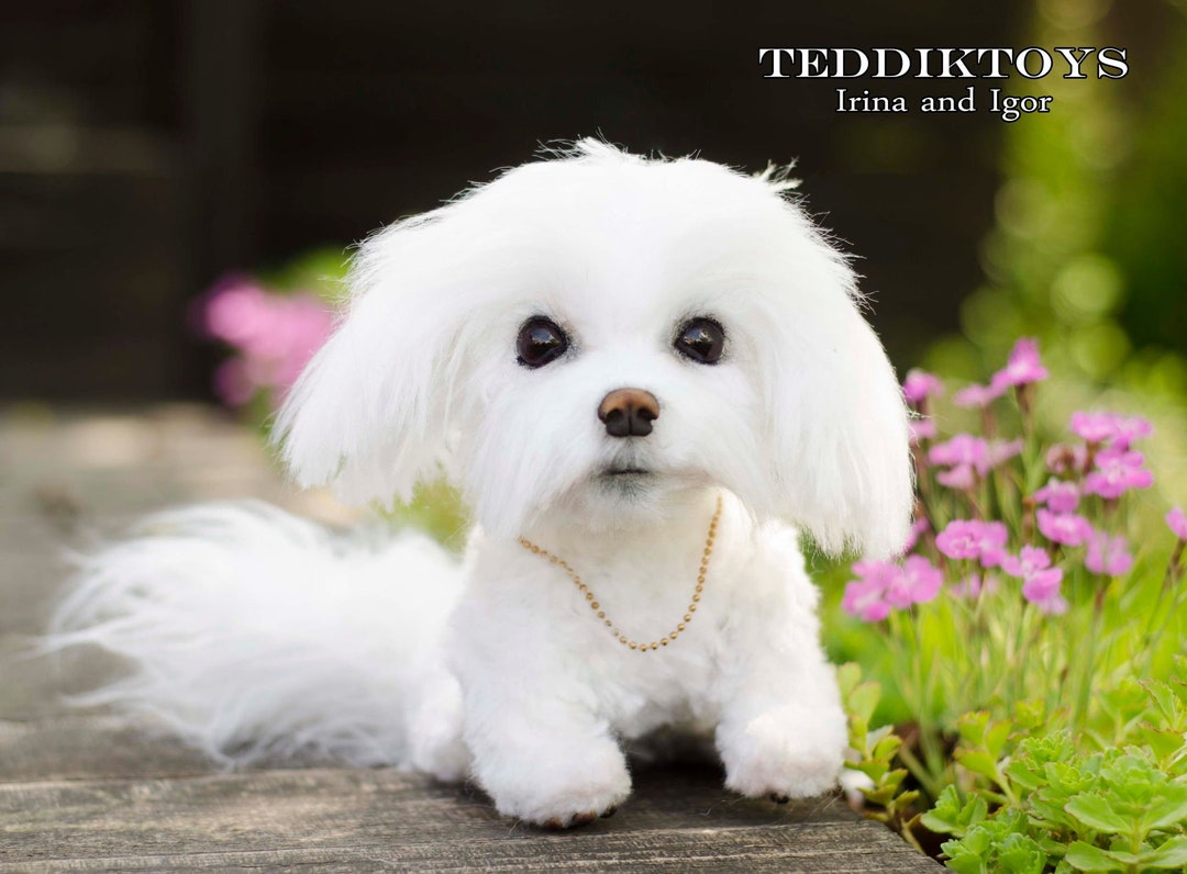 Handmade Plush Maltese Dog: Poseable Teddy Toy - Etsy