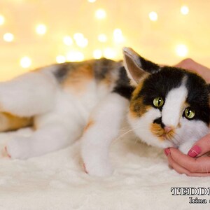Individual Order According to Customers Photo , Cat , Handmade, Kitten ...