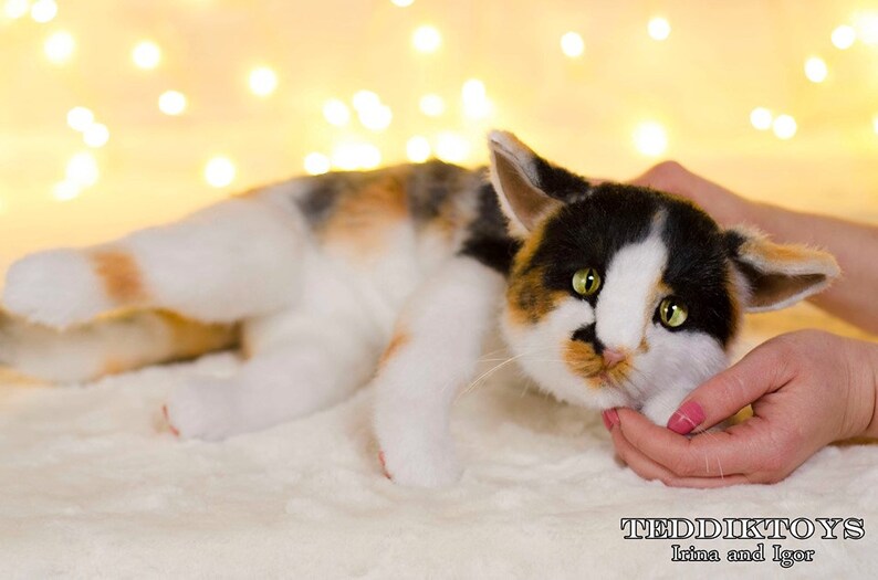 Individual Order According to Customers Photo Cat - Etsy