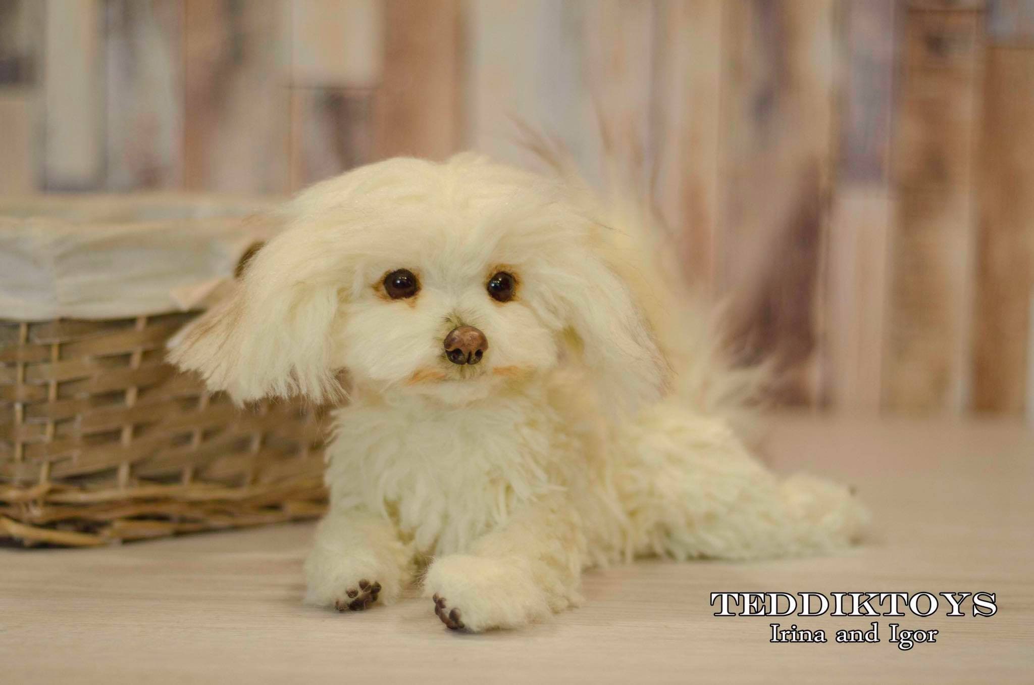Handmade Maltese Dog Plush: Poseable Teddy Toy (made to Order) - Etsy
