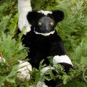 Handmade Realistic Indri Lemur Plush – Custom Soft Toy, Poseable ...